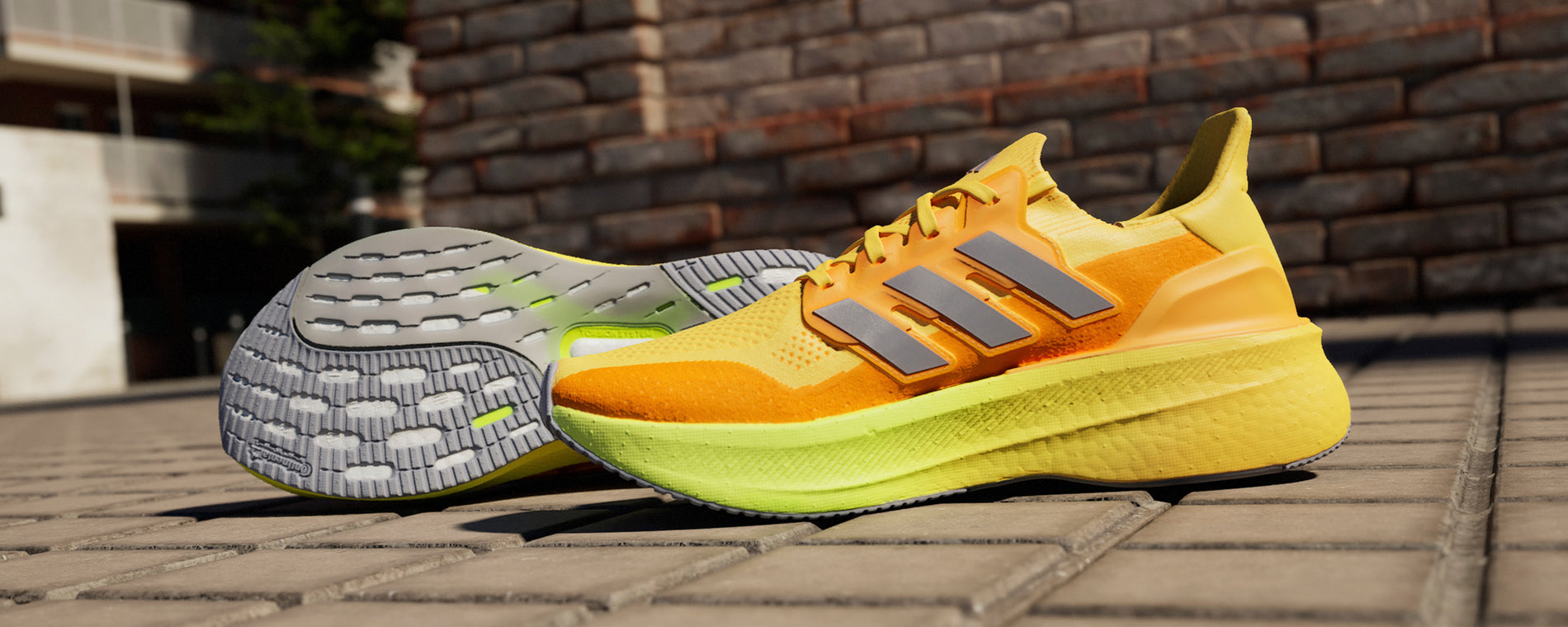 Sonee Sports | 30 Years of Iconic Sports, Lifestyle and Fashion Brands