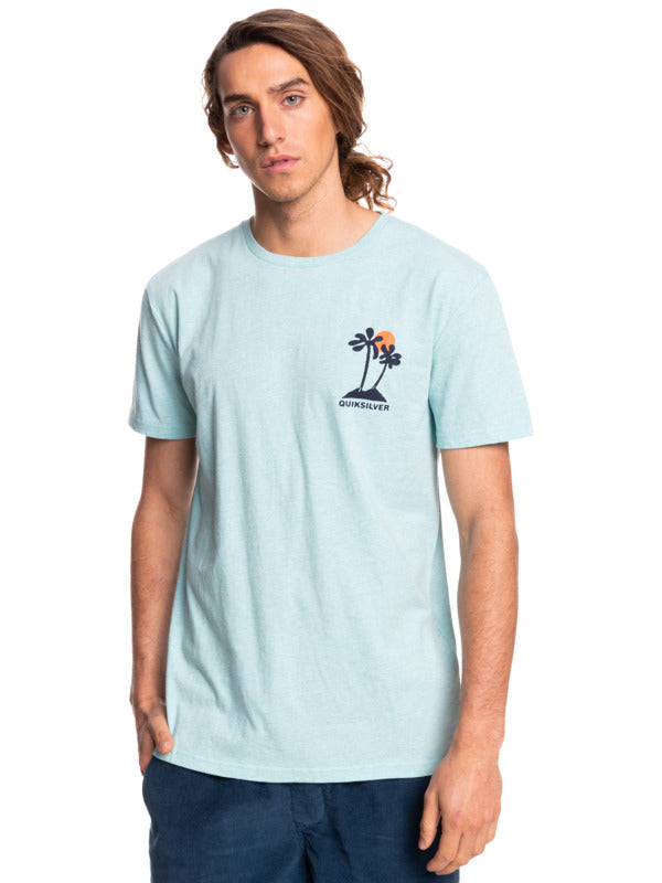 QUIKSILVER EARTHLYDELIGHT EQYZT06776-BGDH T-SHIRT SHORT SLEEVE (M ...